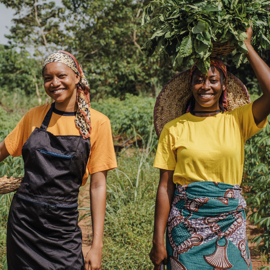 Programa en construcción de paz "De Colombia al mundo" | Agencia Presidencial de Cooperación ...